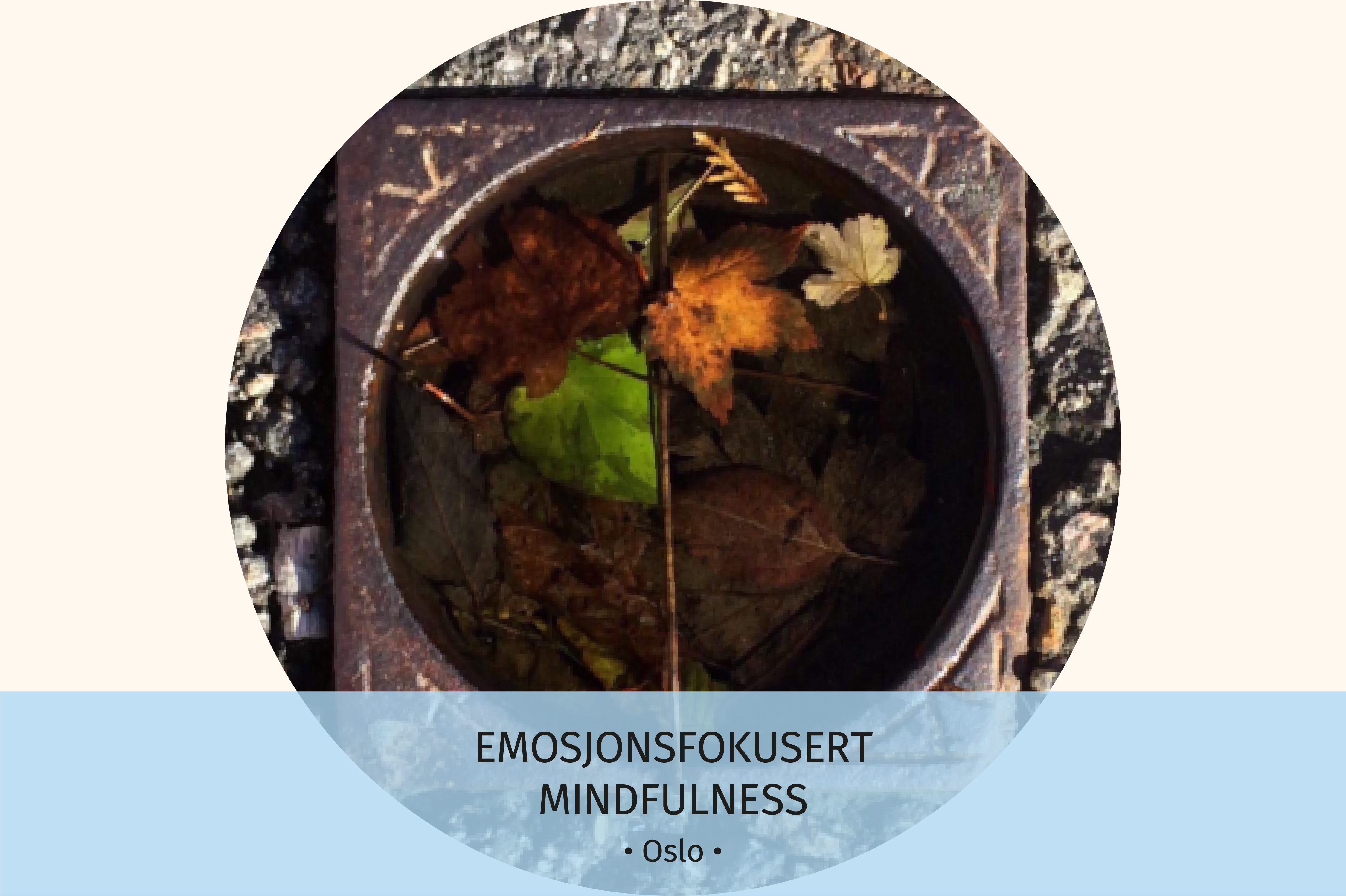 Helgekurs i Emosjonsfokusert mindfulness 18. og 19. april 2026 - Modul 1 | Kurs og utdanning - IPR